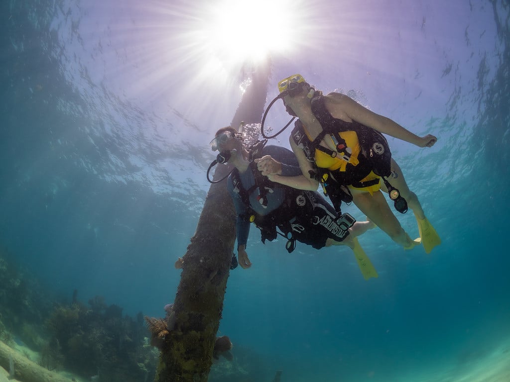 Scuba Diving Big Pine Key | Looe Key Dive Trips