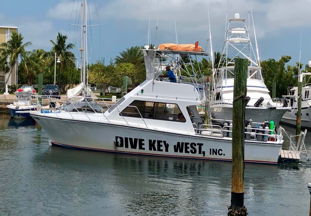 Private Boat Charters In Key West | Diving, Sandbar & More